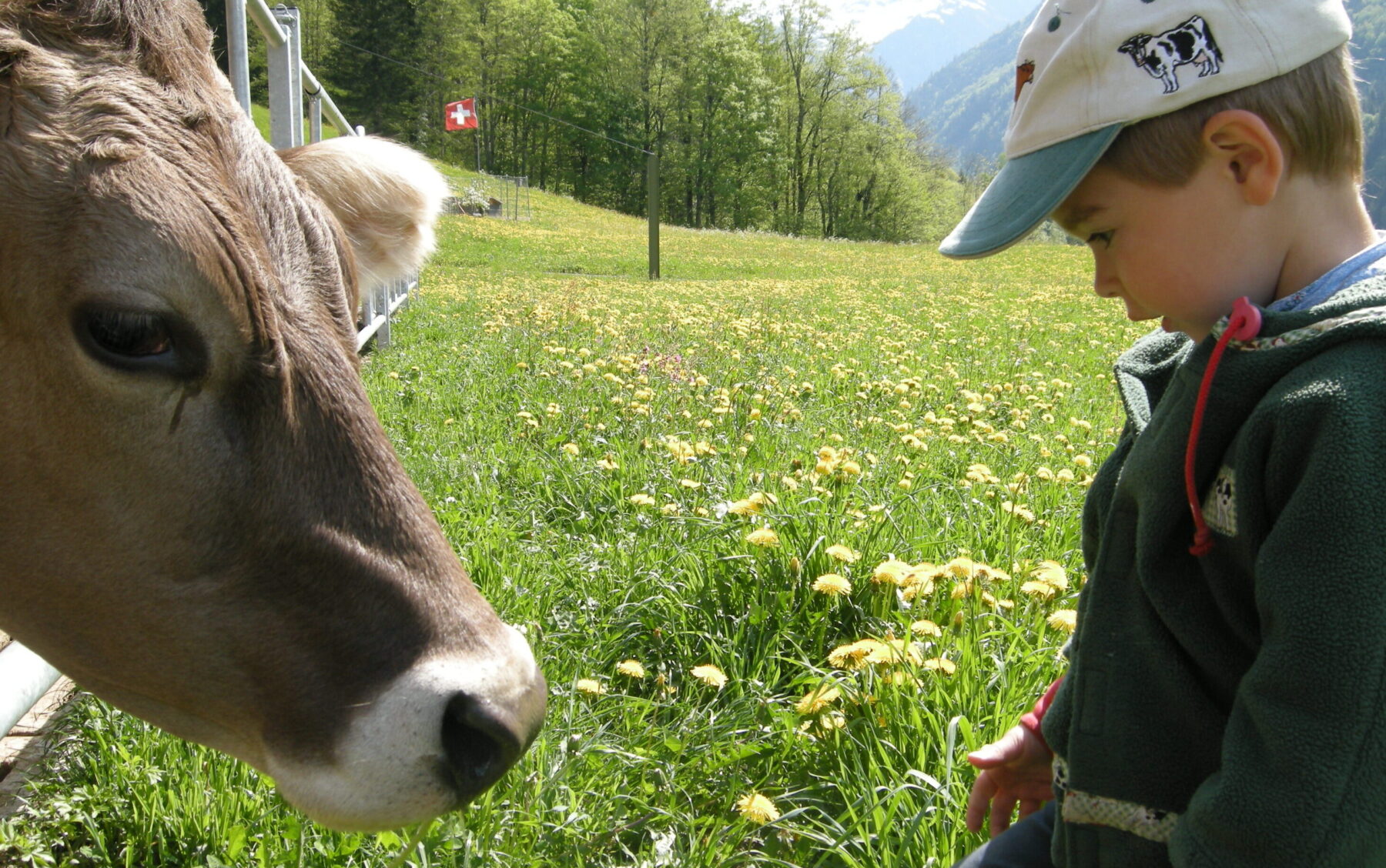 Tiere, Pflanzen, Lebensräume - Schule auf dem Bauernhof